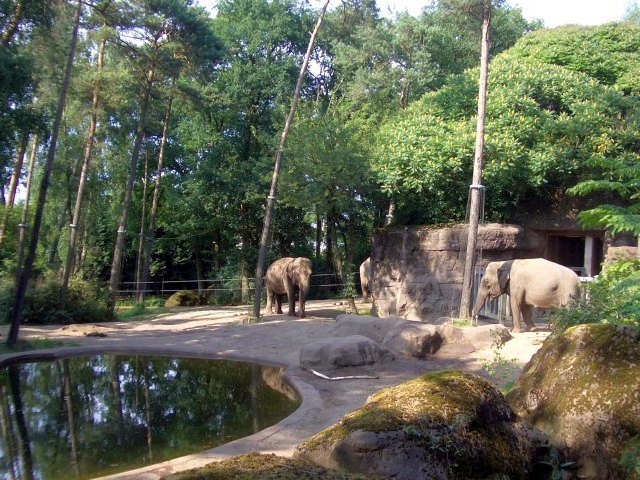 Photo 31: Elephant exhibit - Copyright © 06/2009 by Torsten Jahn