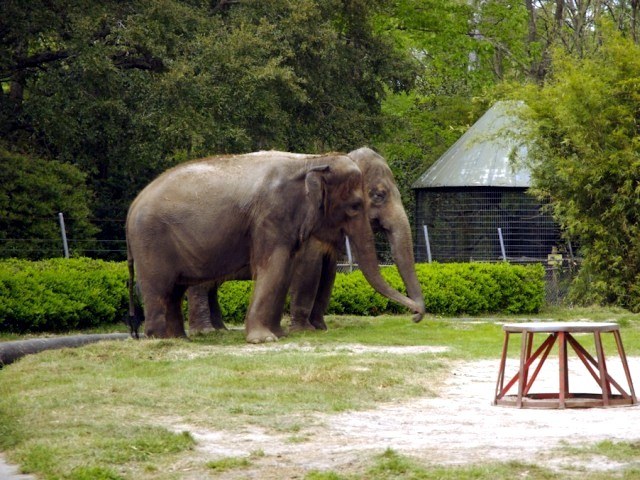 Photo 21: Judy and Bozie - Copyright © 03/2008 by Kris Wotipka