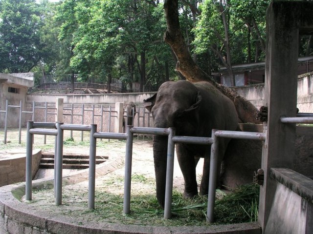 Fuzhou Zoo