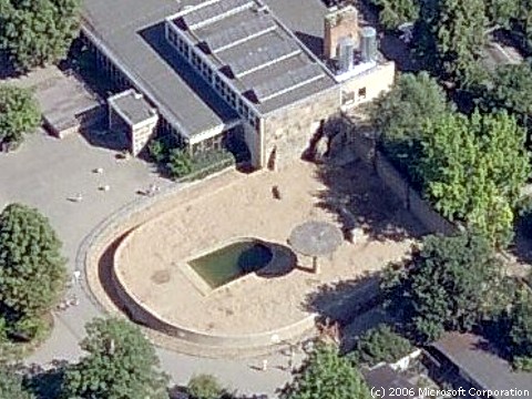 Asian elephant yard 2006