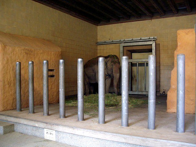 Photo 35: Indoor enclosure - Copyright © 05/2006 by Torsten Jahn