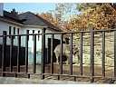 Postcard 01 - 1950's: Photo 02 - 10/1985:
