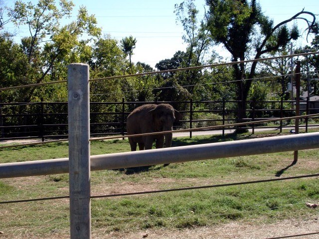 Photo 23: Elephant exhibit - Copyright © 10/2007 by Karin Mesenbrink