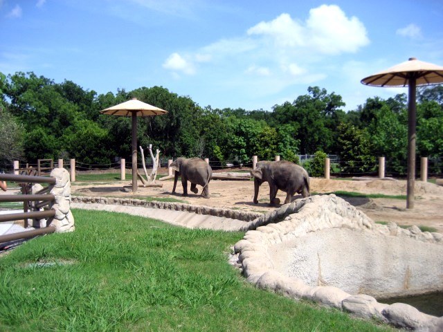 Photo 07: Elephant exhibit - Copyright © 06/2007 by Mashley