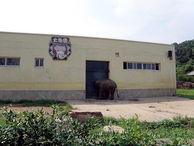 Photo 09: Elephant exhibit - Copyright © 08/2012 by Zhang Junhe